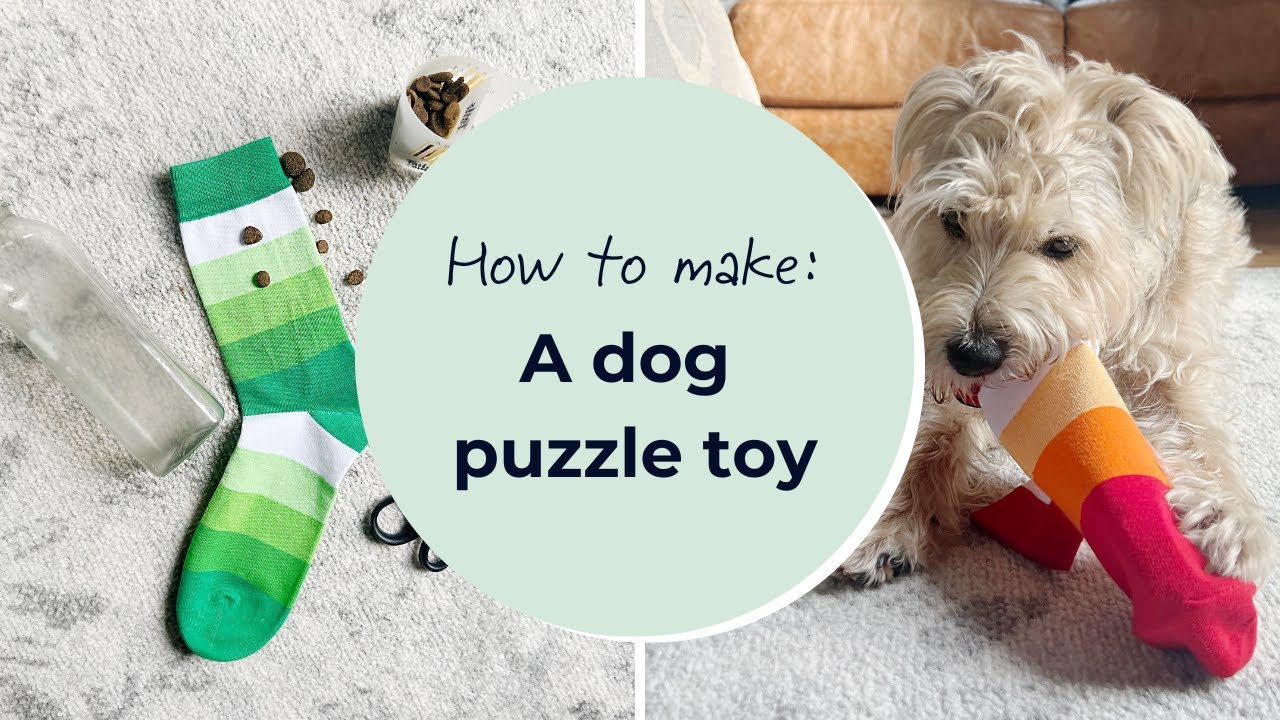 How To Make A Dog Puzzle Toy: Easy DIY Fun For Smart Pups
