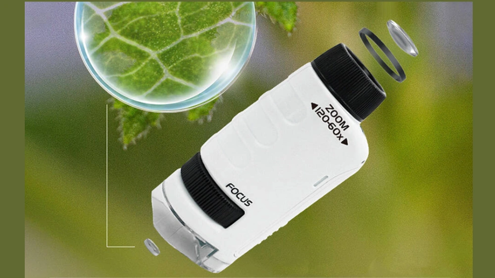 Best Pocket Microscope For Kids: Explore Science With Fun & Ease